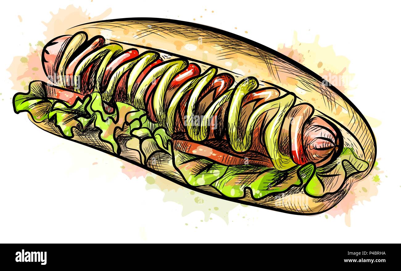 Watercolor food illustration sandwich Stock Vector Images - Alamy