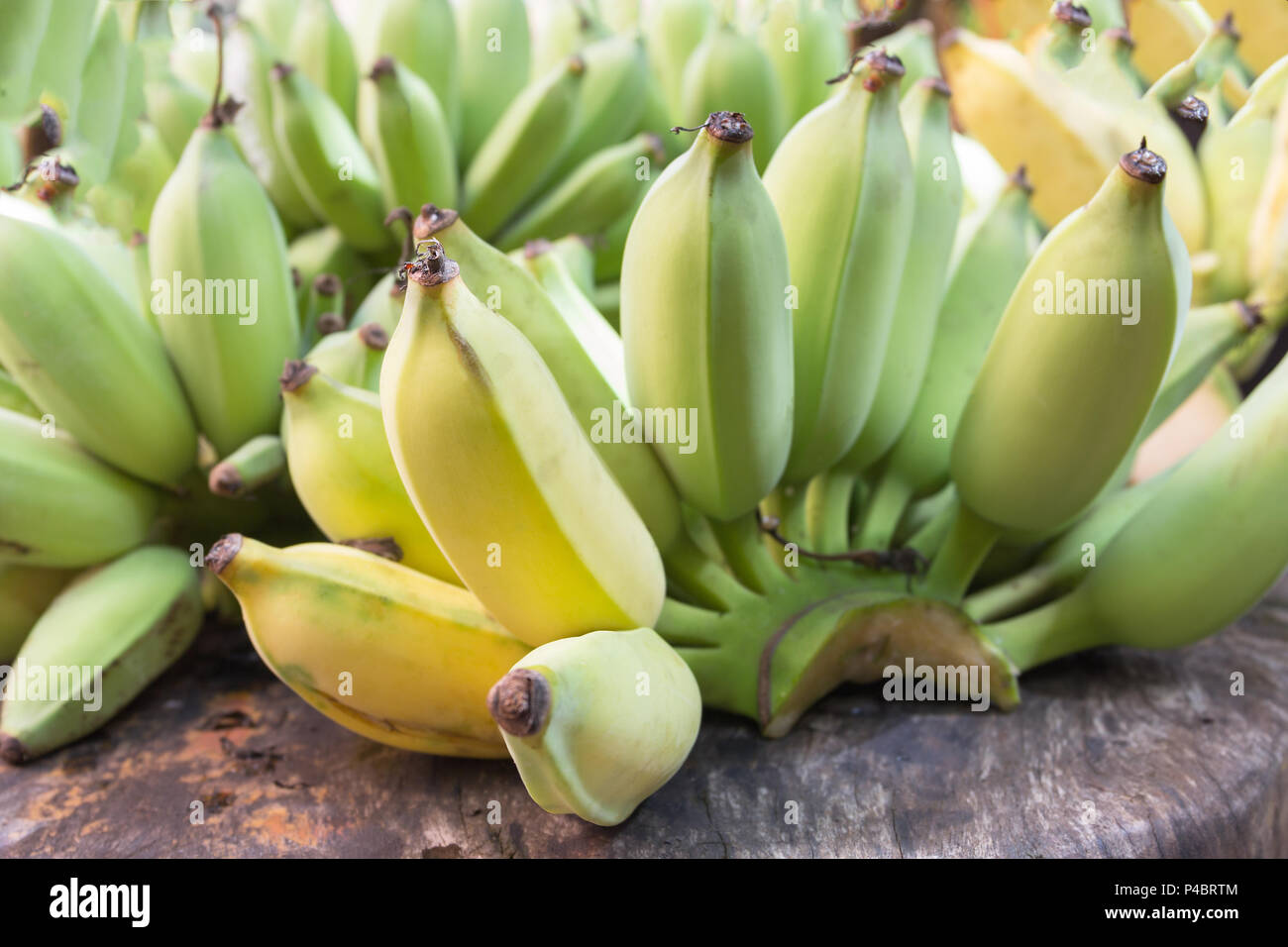 Pisang tree hi-res stock photography and images - Alamy