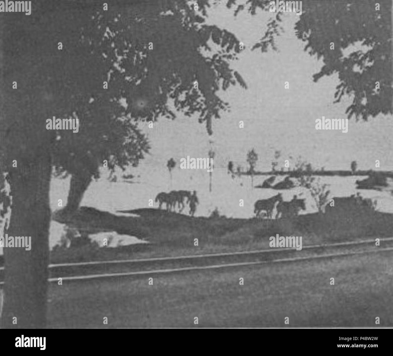 Ostrovo hi-res stock photography and images - Alamy