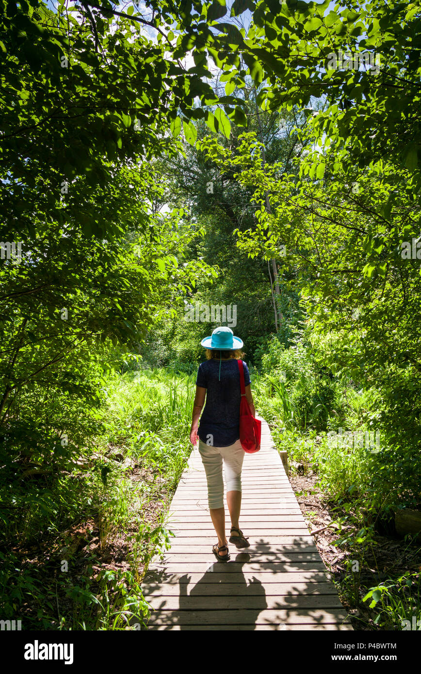 USA, New York, Hudson Valley, Saugerties, walkway along the Hudson ...