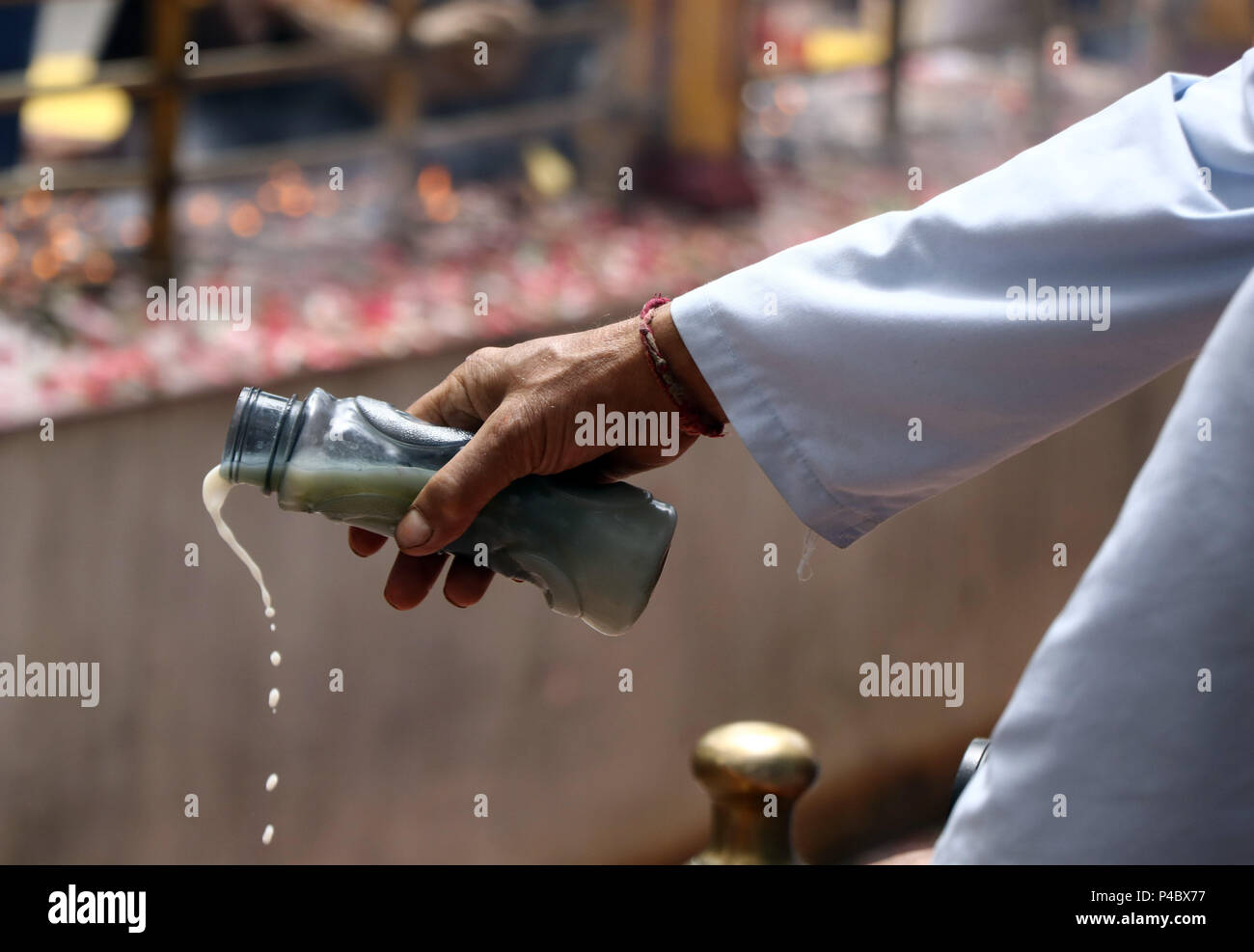 India. 20th June, 2018. Hindu devotee pours milk into a sacred spring ...