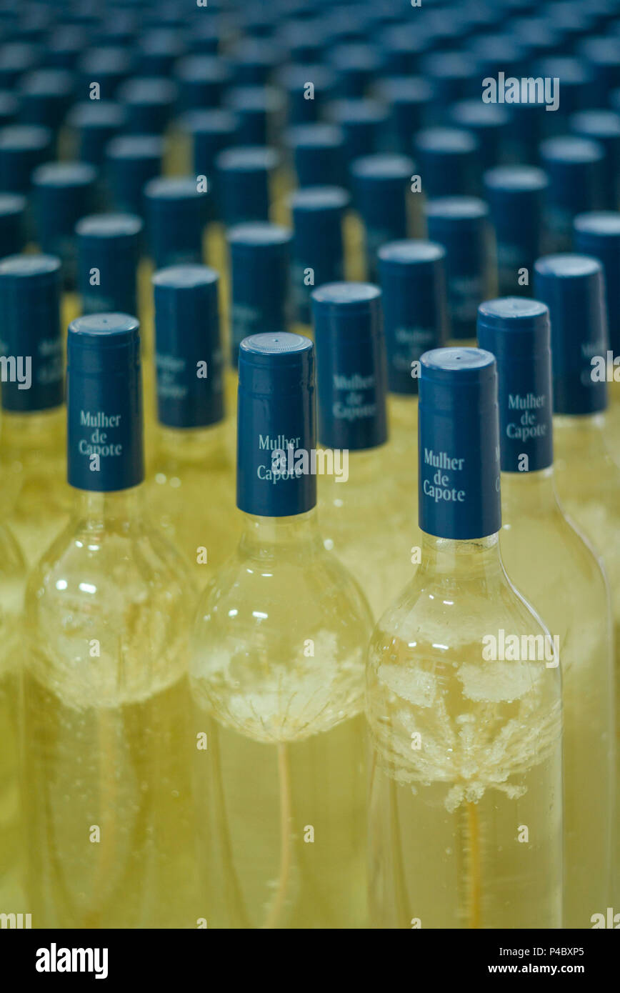 Portugal, Azores, Sao Miguel Island, Ribeira Grande, Mulher de Capote ...