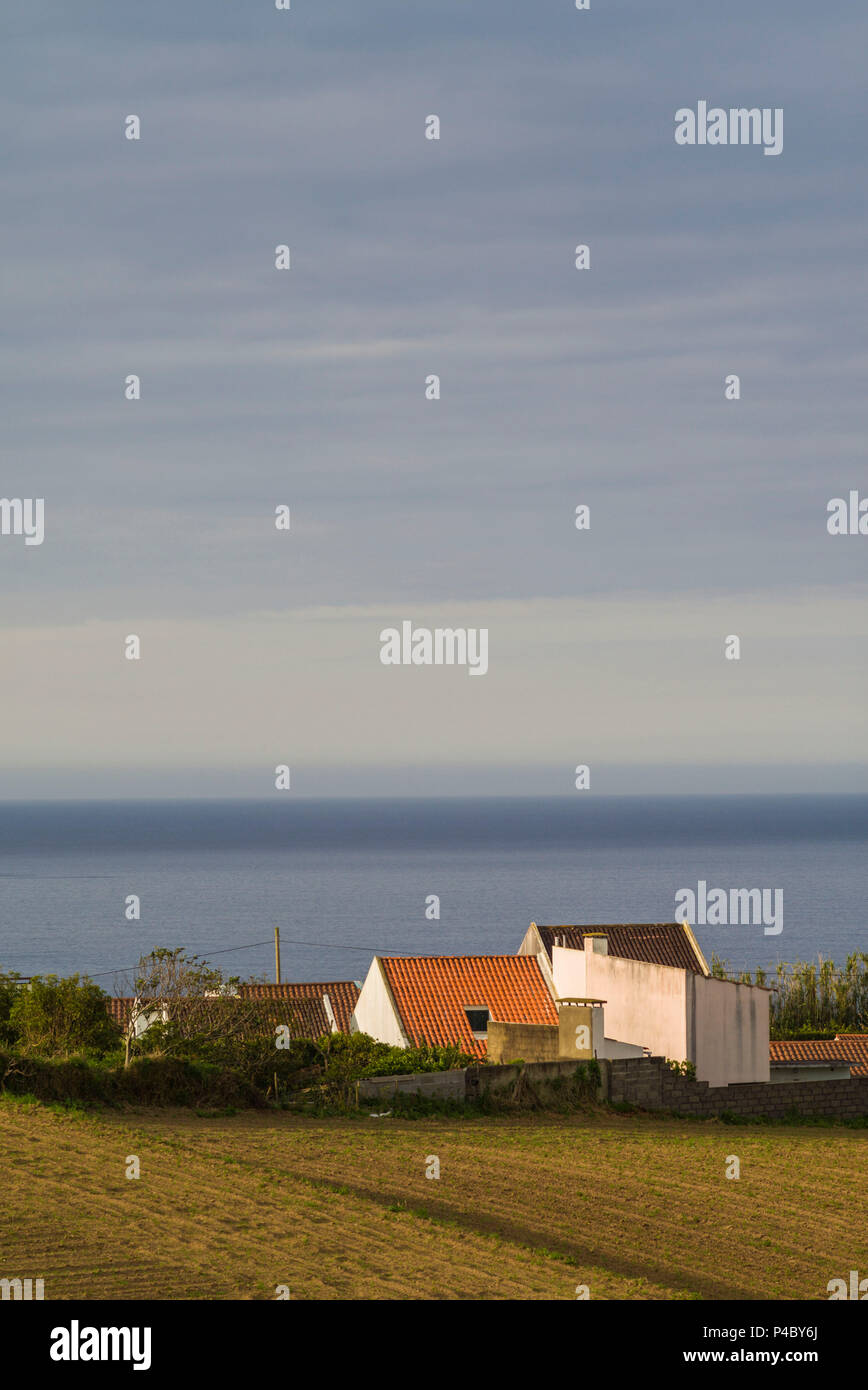 Portugal, Azores, Sao Miguel Island, Santo Antonio, farm Stock Photo ...
