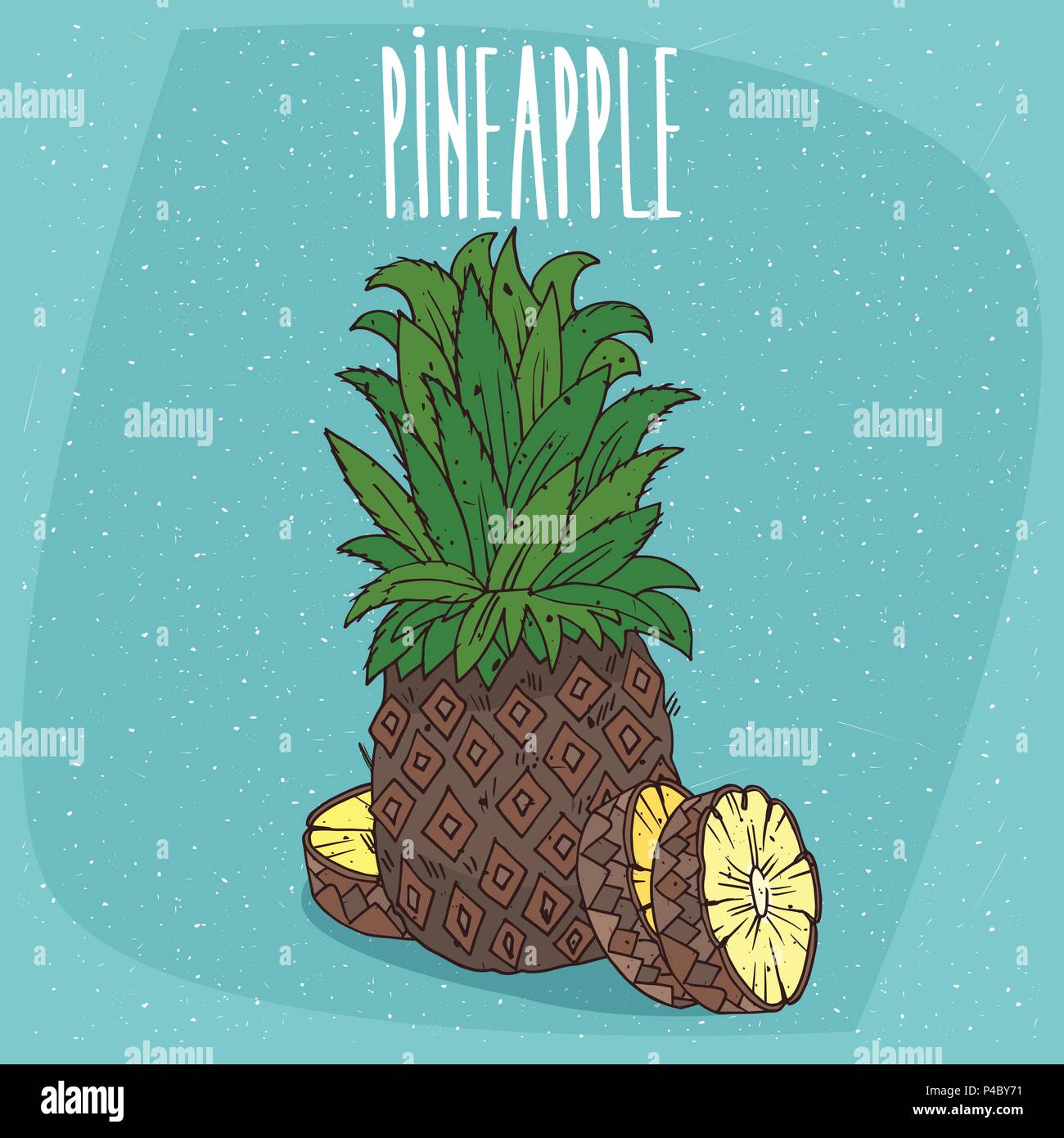 Fruit of ripe ananas with luxurious crown of leaves, whole and cut into ...