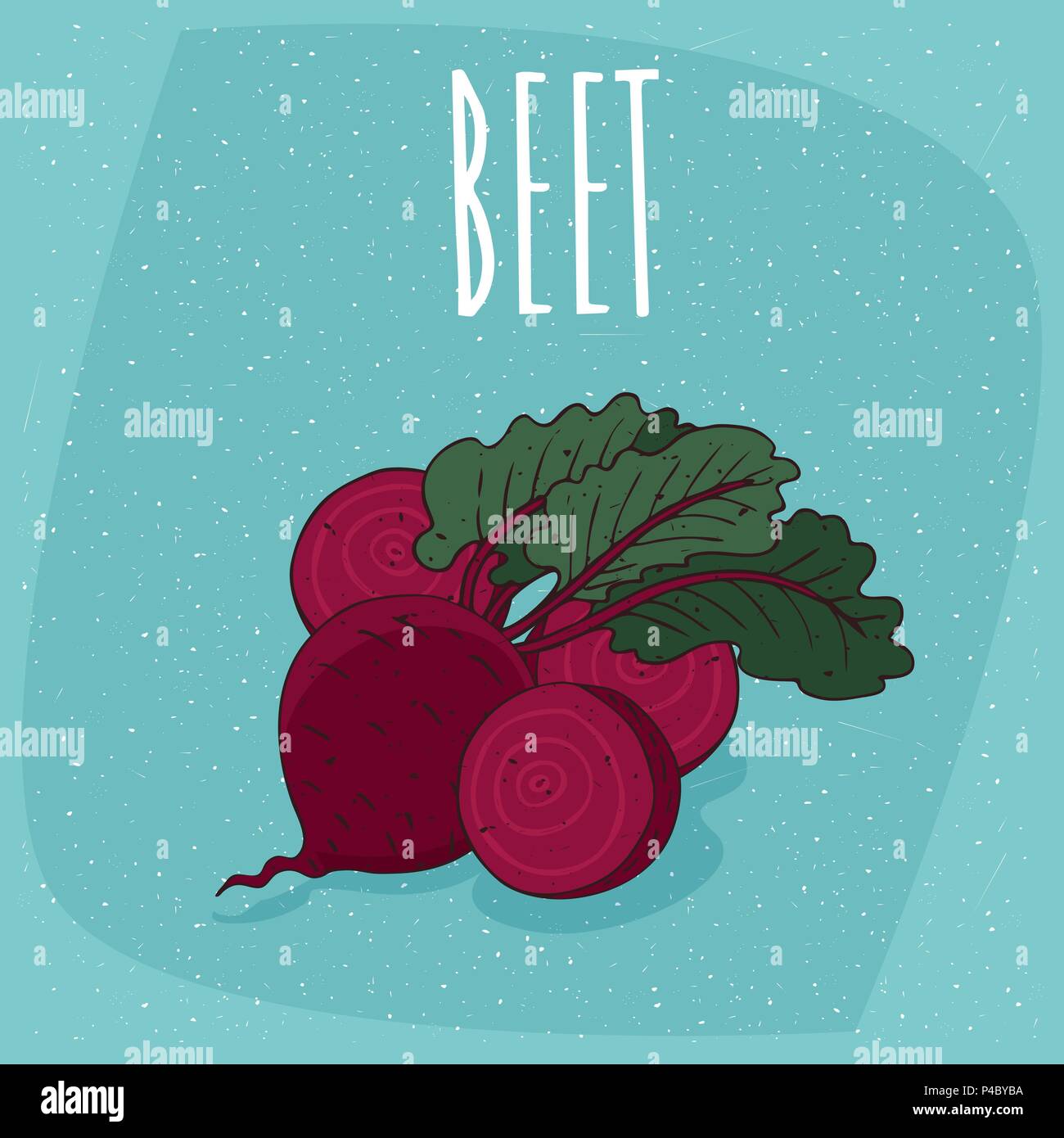 Beetroot still life Stock Vector Images - Alamy