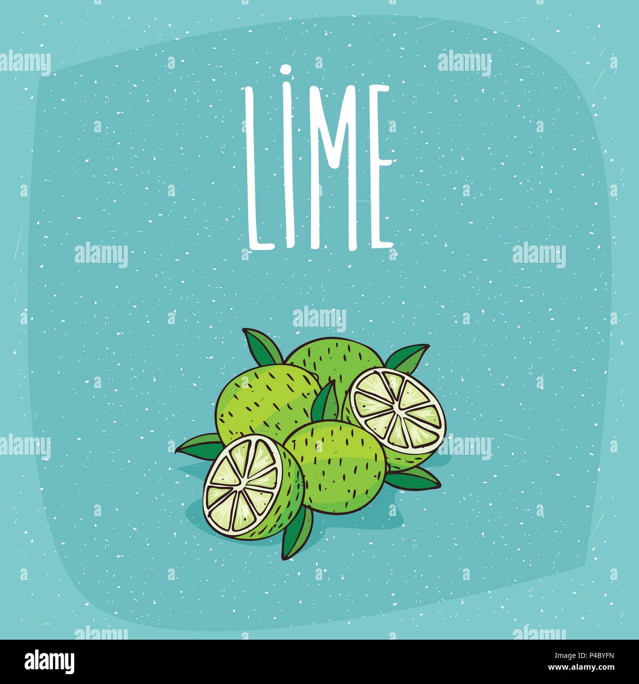 Lime visible Stock Vector Images - Alamy