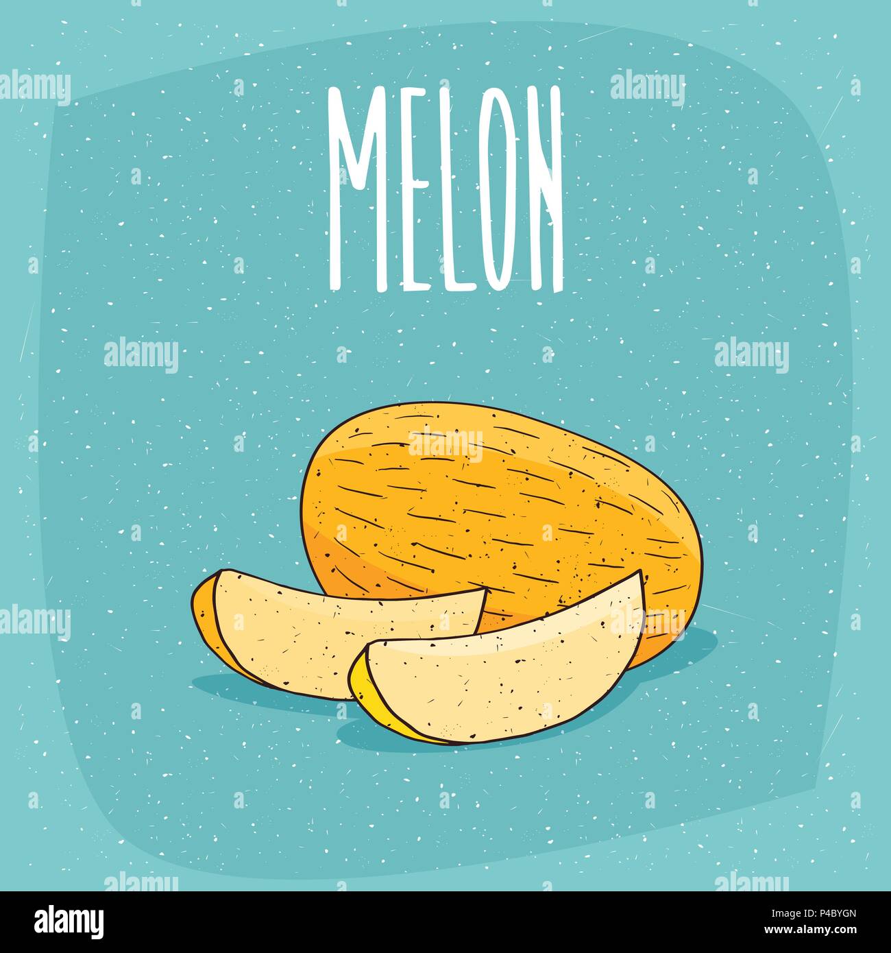 One huge whole ripe melon fruit, near beautifully cut pieces. Visible ...