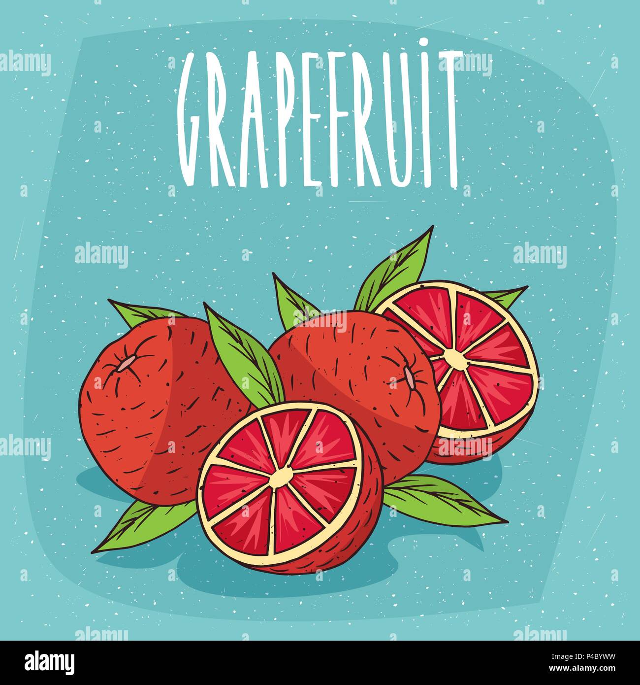 Several ripe grapefruit fruits with leaves, whole and beautifully cut ...