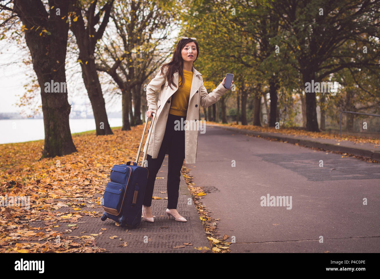 Businesswoman hailing on side of road Stock Photo - Alamy