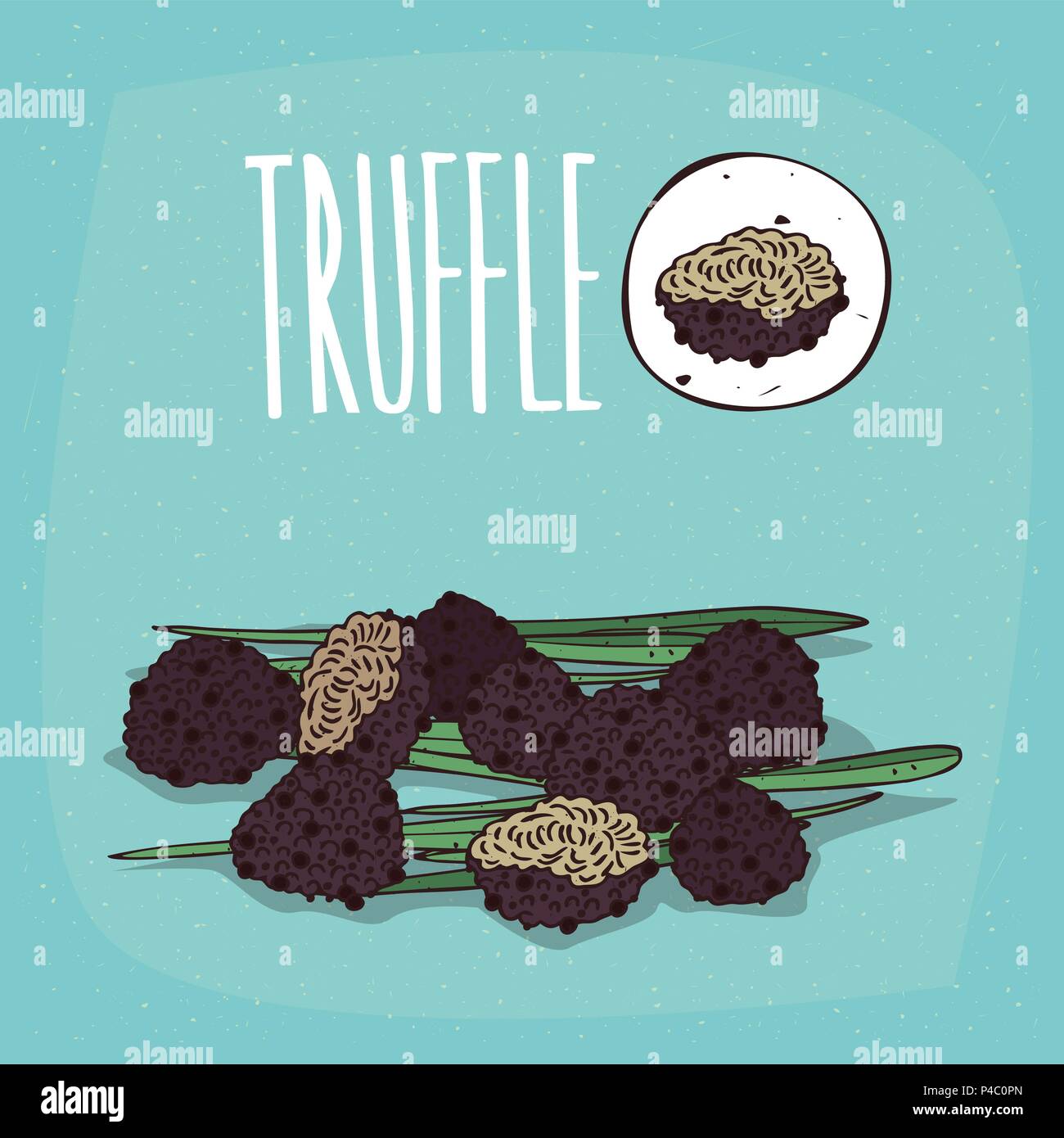 Black and white truffle combination hi-res stock photography and images ...