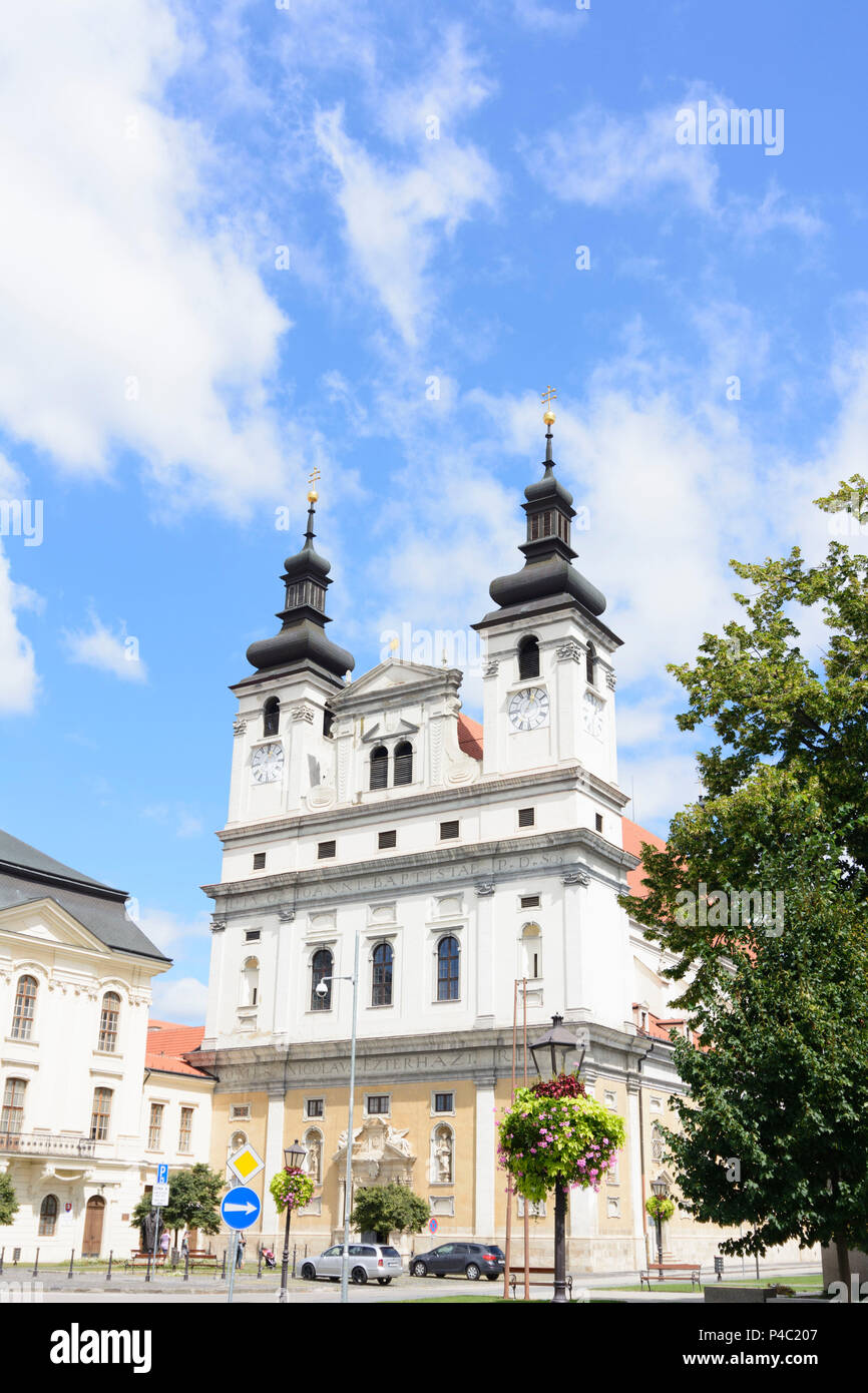 Cathedral of st john baptist trnava hi-res stock photography and images ...