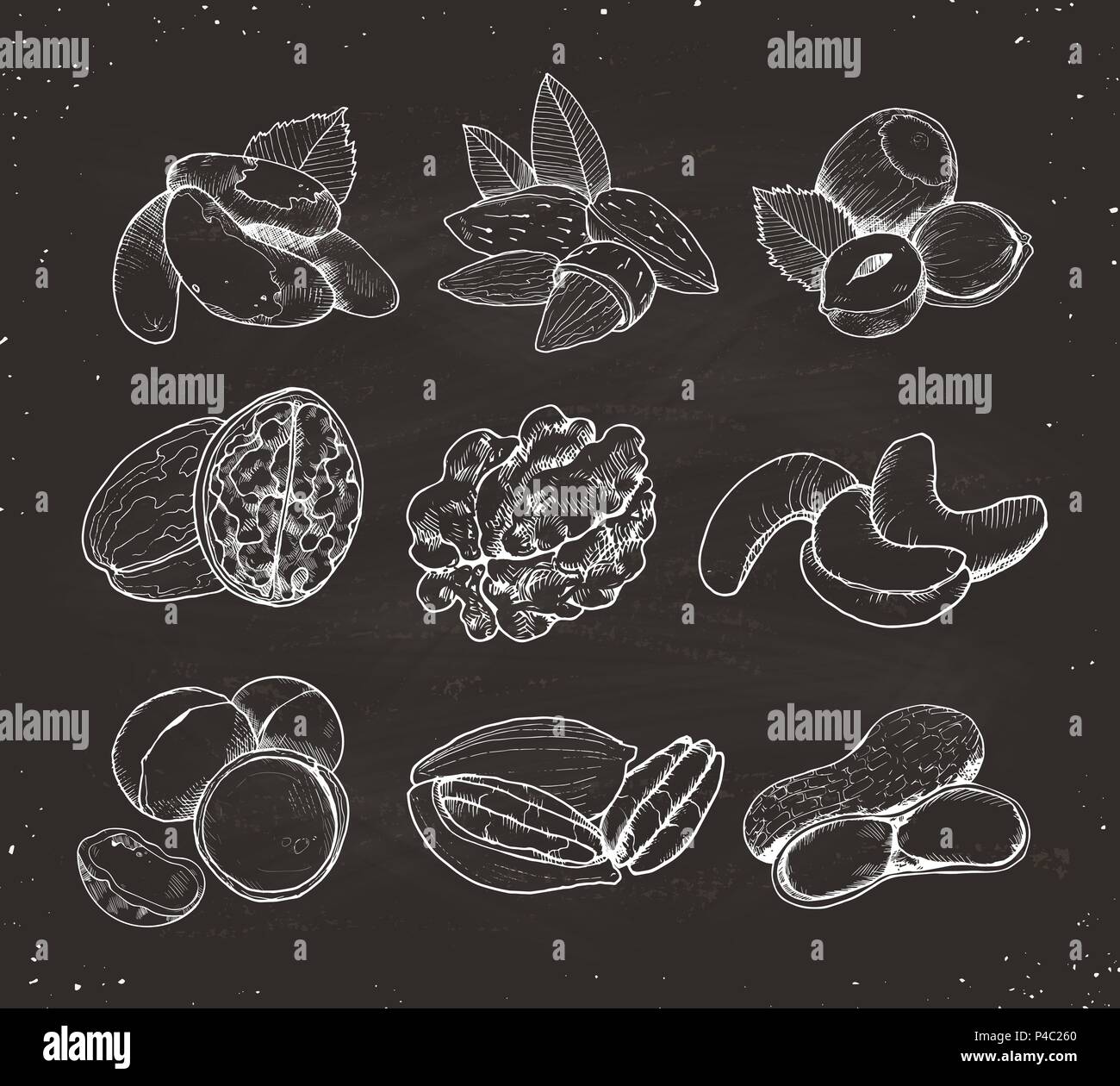 vector nuts set Stock Vector Image & Art - Alamy