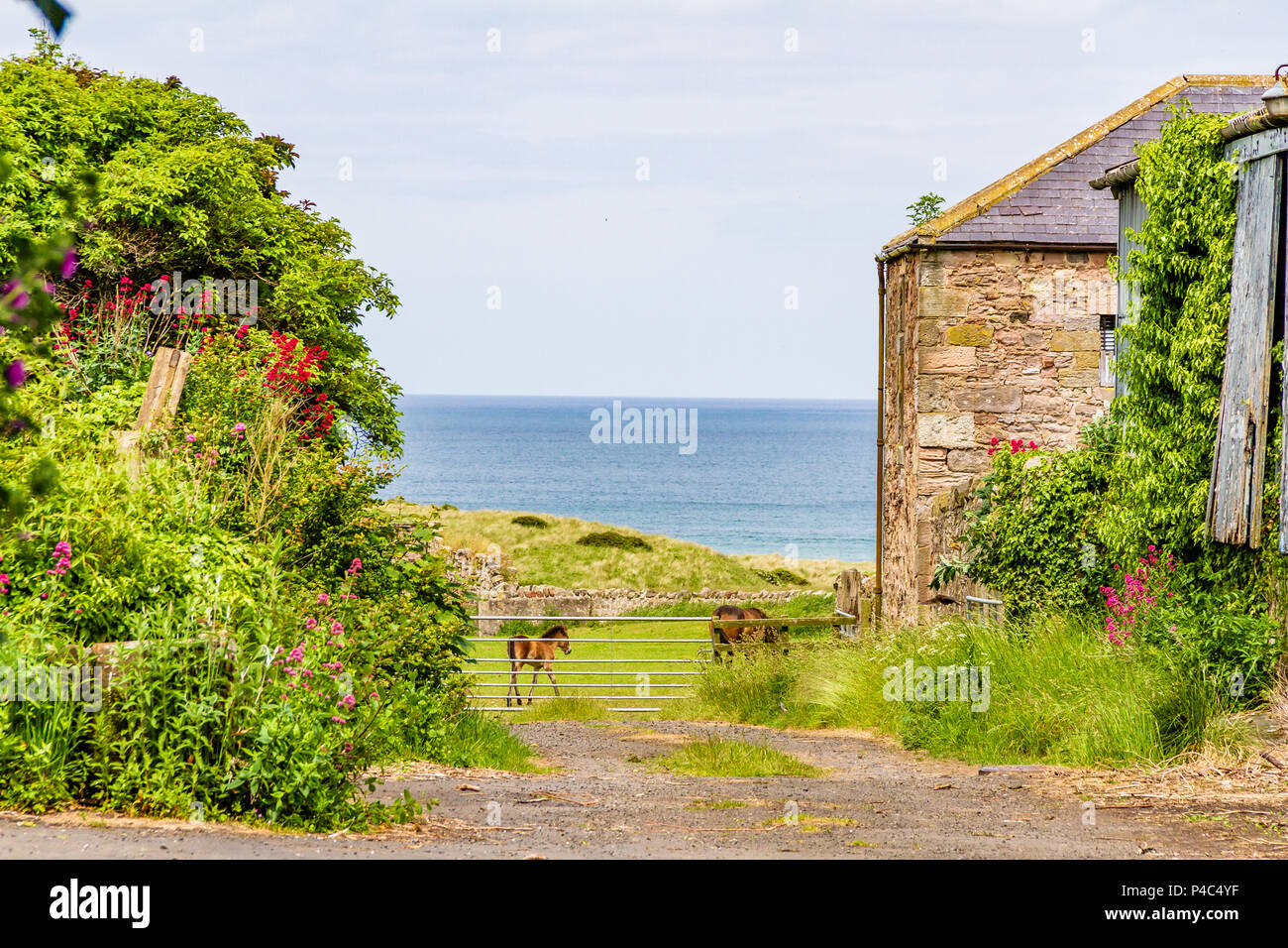 English farm scene hi-res stock photography and images - Alamy