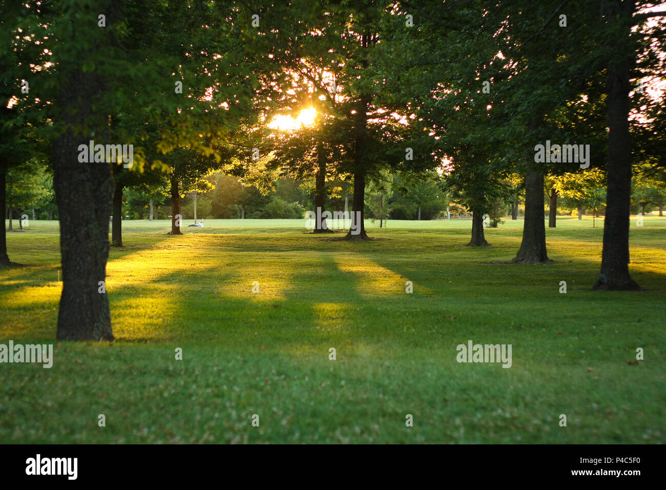 Perfect summer sunset hi-res stock photography and images - Alamy