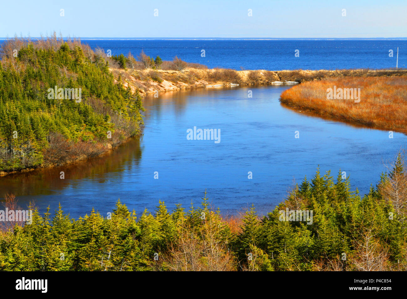 Coastal ecology hi-res stock photography and images - Alamy