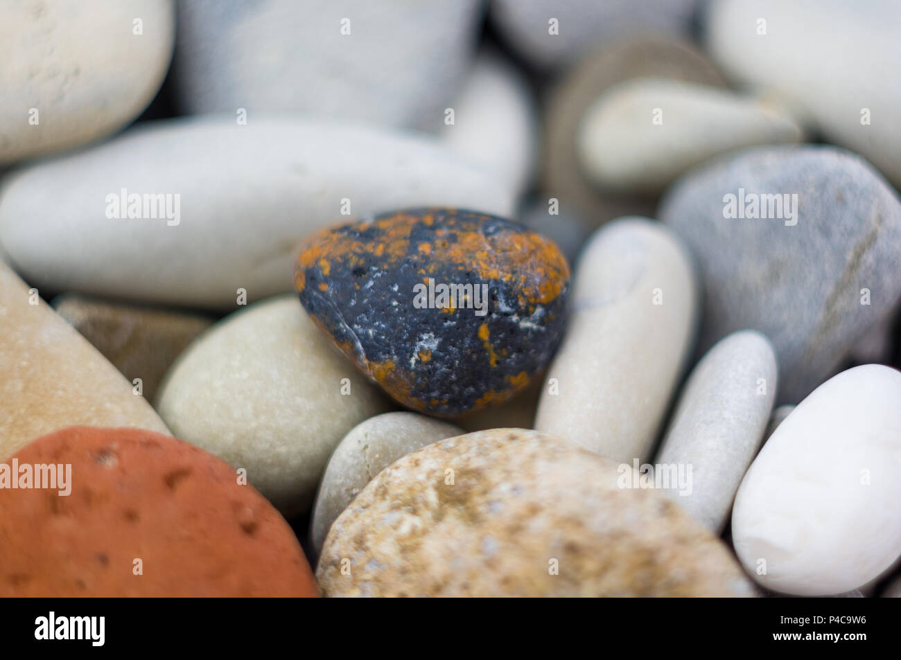 boulders and colorful pebbles on the beach on a warm summer day Stock ...