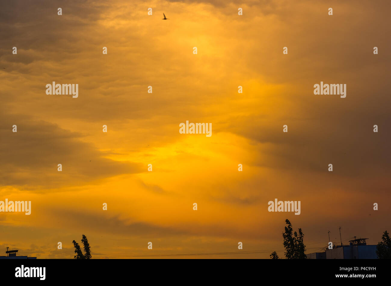 Landscape with dramatic light - beautiful golden sunset with saturated ...