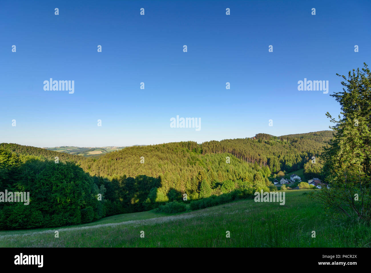 Bromberg, Bucklige Welt at Schlagergraben, Wiener Alpen (Vienna Alps ...