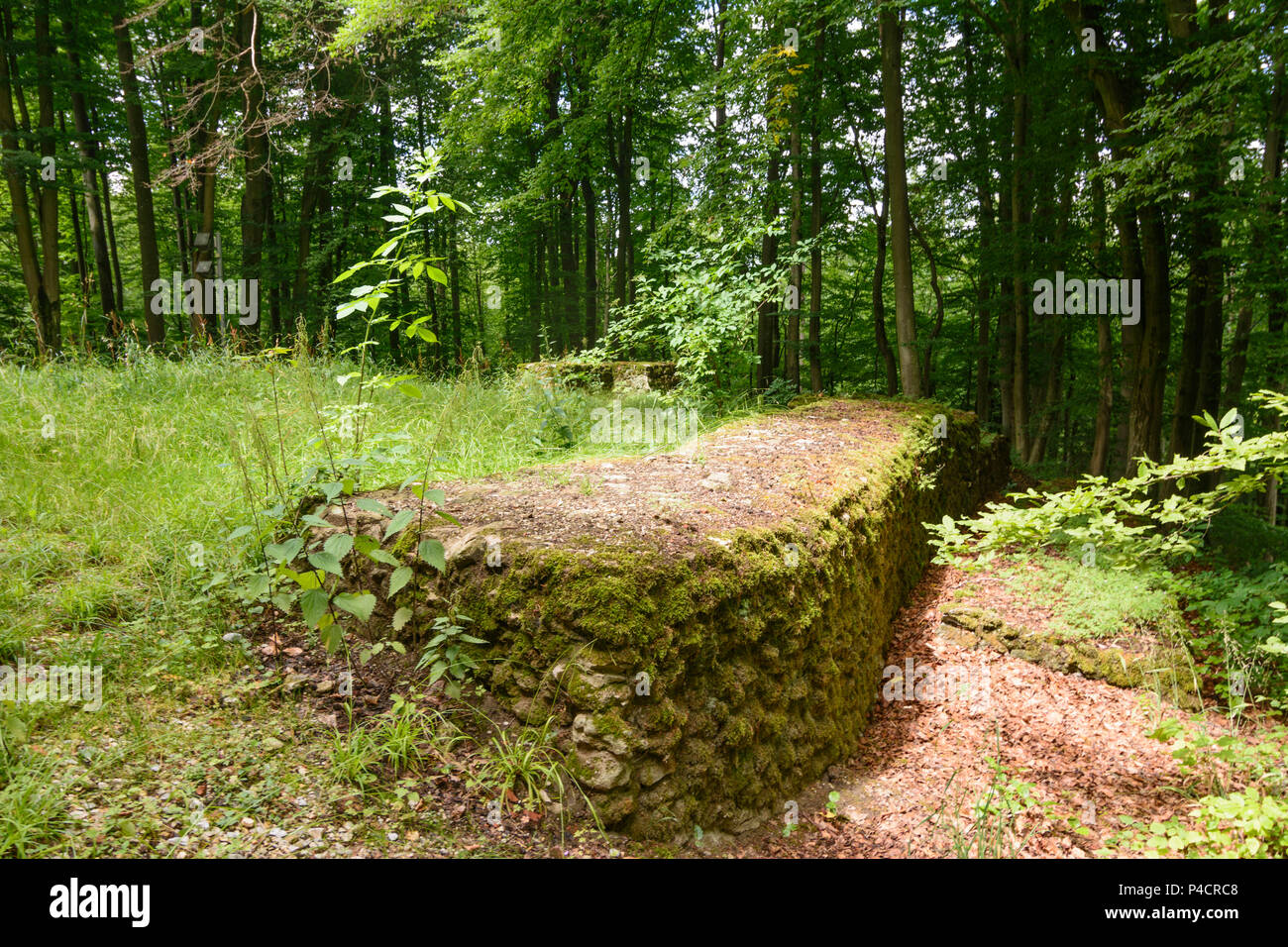 Oberwittelsbach castle hi-res stock photography and images - Alamy
