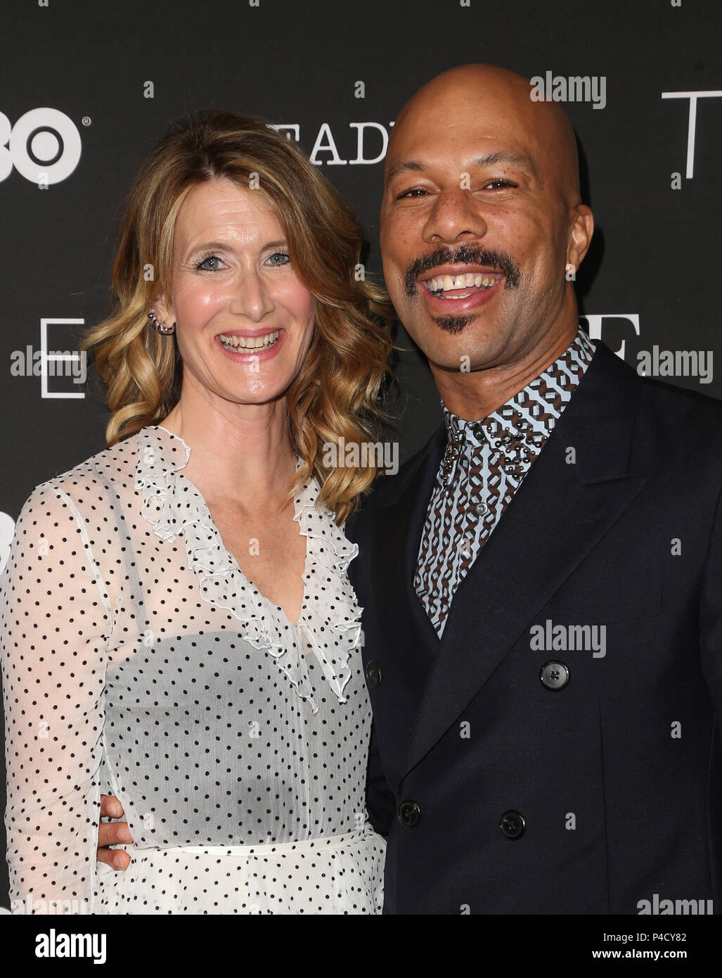 FYC Screening of HBO's Film THE TALE Featuring: Laura Dern, Common ...