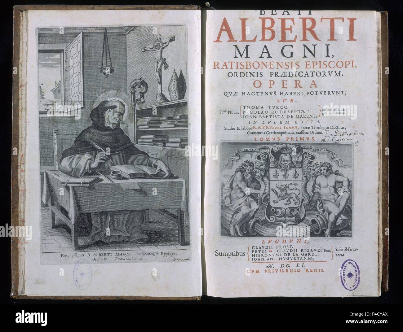 Magno beato alberto hi-res stock photography and images - Alamy