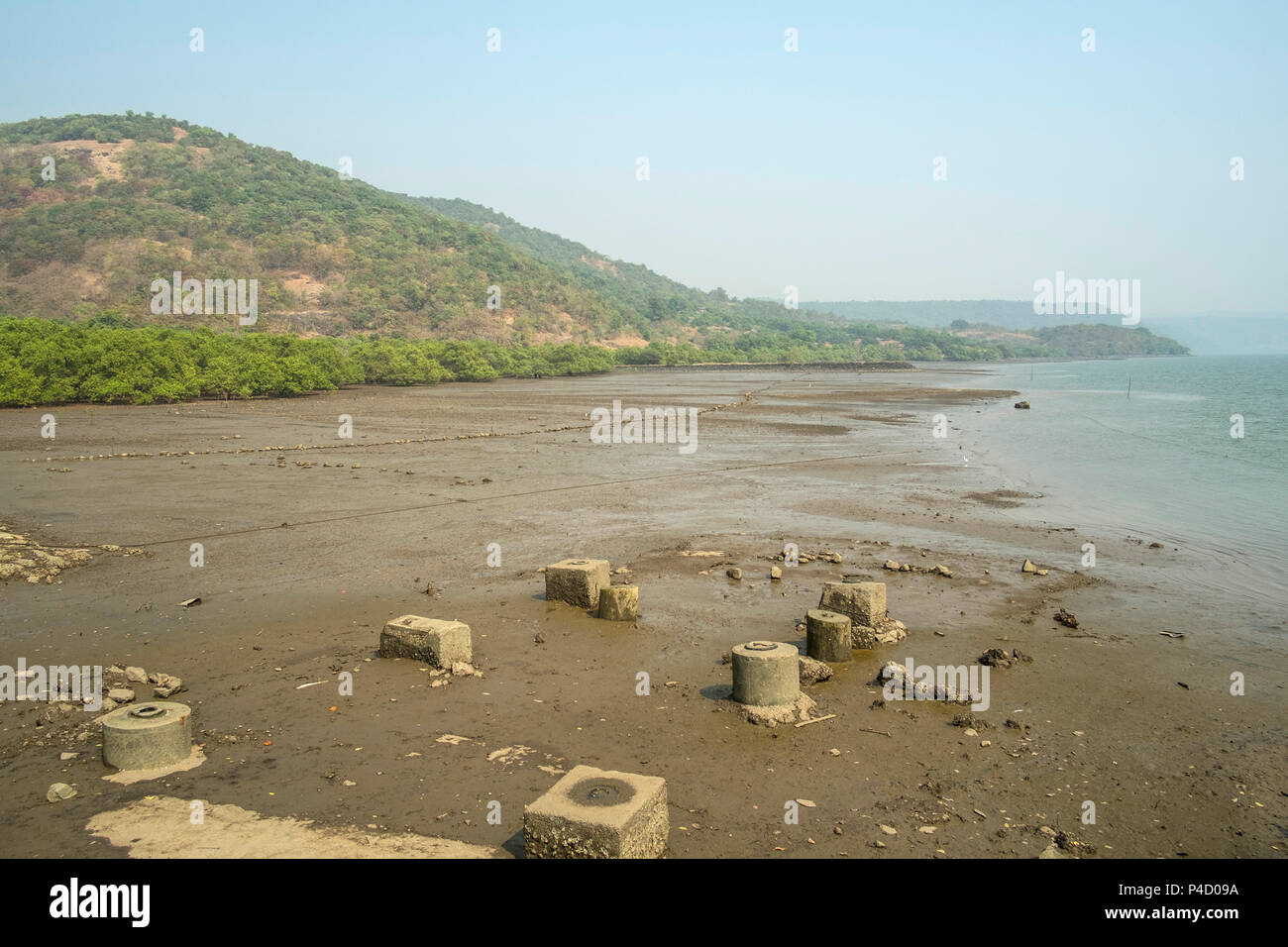 Kokan coast hi-res stock photography and images - Alamy
