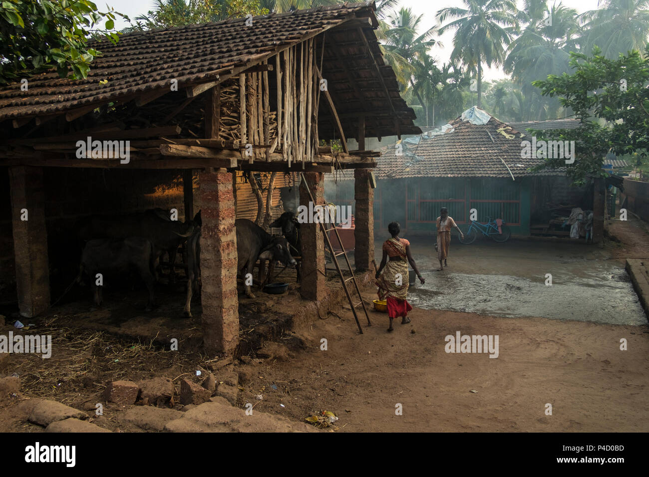 In the village of Malgund in Ratnagiri District of Maharashtra, India ...