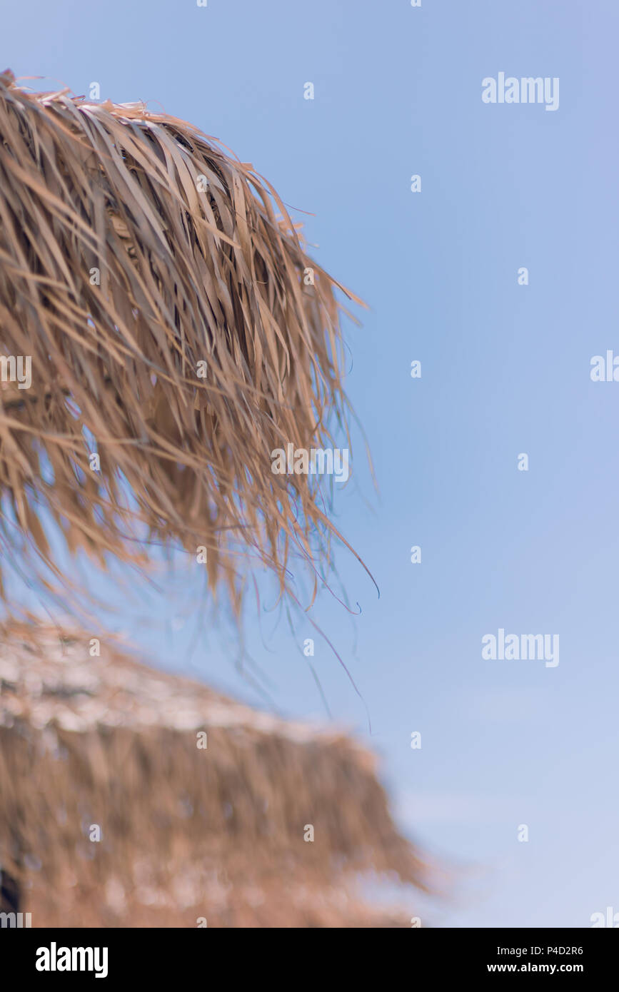 Parasol made out of palm leaves standing on the beach with the sea ...