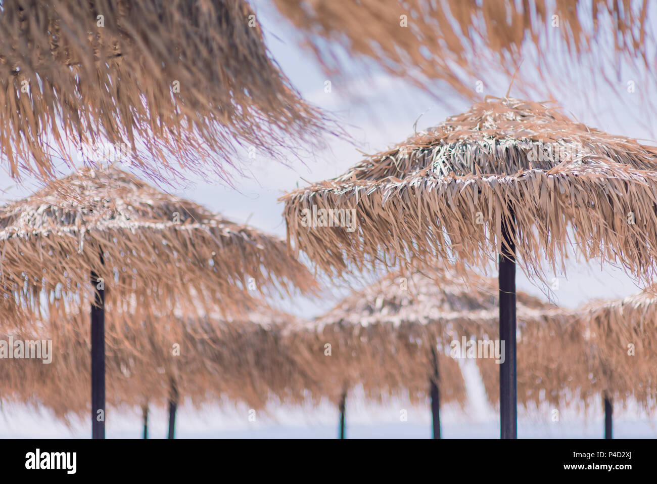 Parasol made out of palm leaves standing on the beach with the sea ...