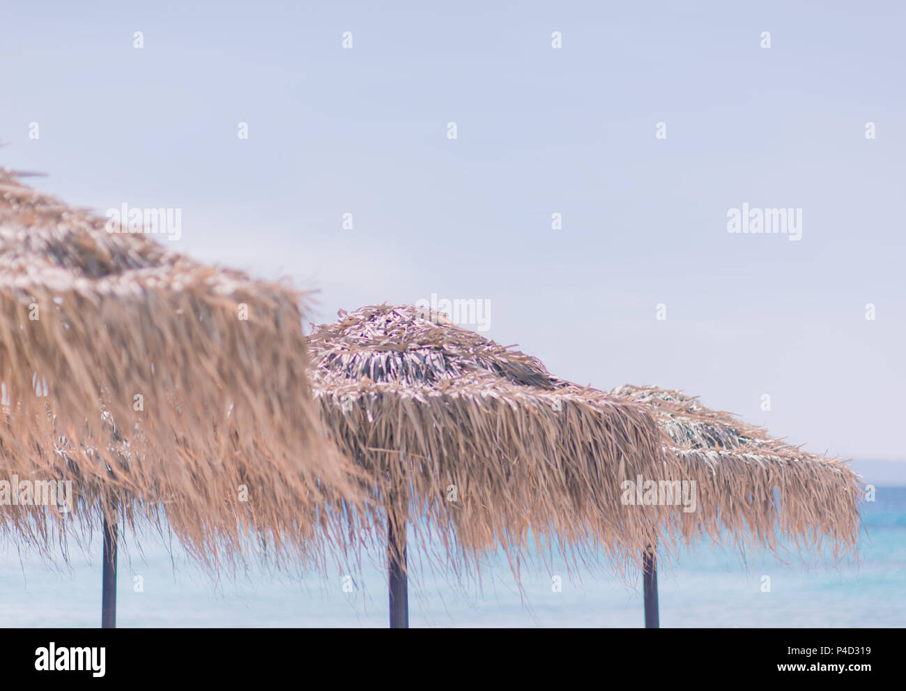 Parasol made out of palm leaves standing on the beach with the sea ...