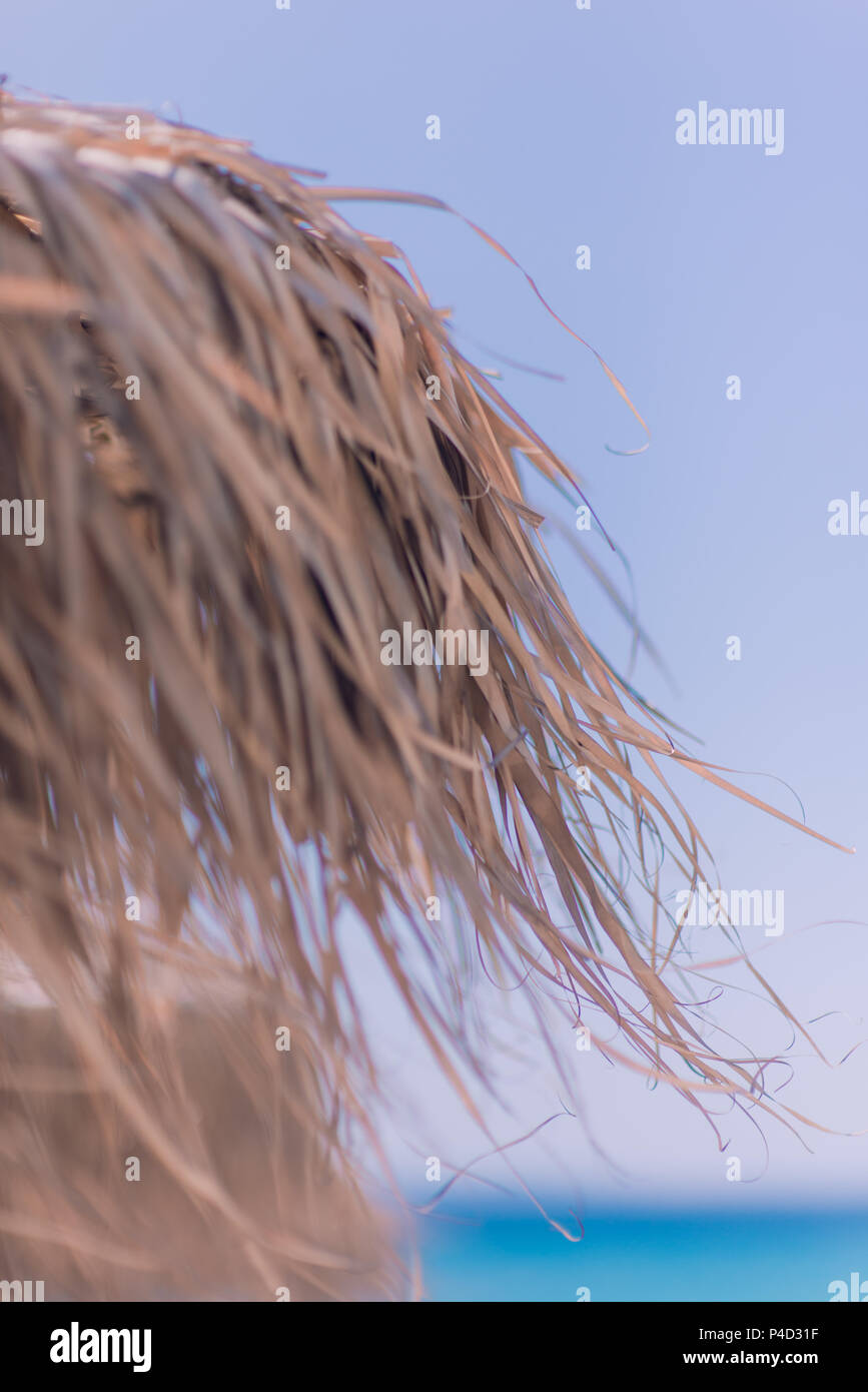 Parasol made out of palm leaves standing on the beach with the sea ...