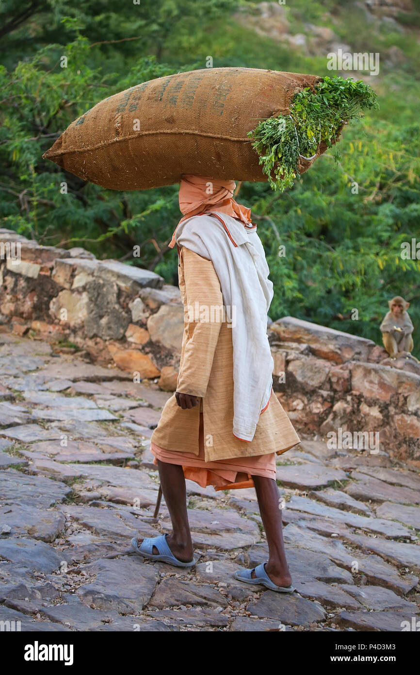 Indian man carrying sack hi-res stock photography and images - Alamy