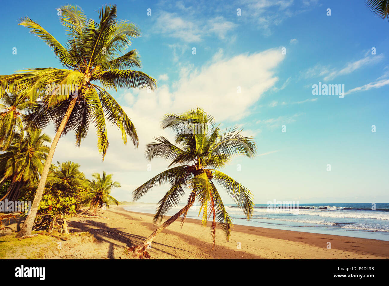 Beautiful tropical Pacific Ocean coast in Costa Rica Stock Photo - Alamy
