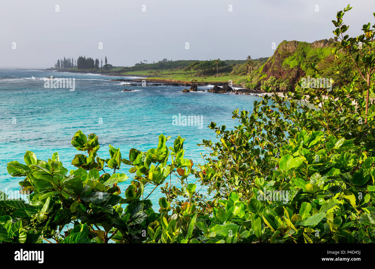 Beautiful tropical landscapes on Maui island, Hawaii Stock Photo - Alamy