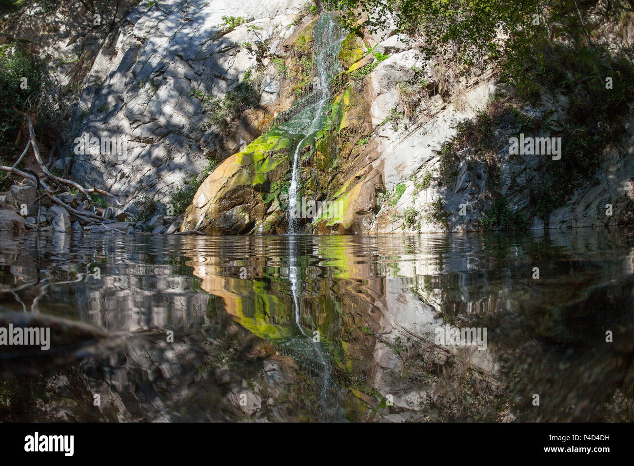 Santa Anita Waterfall in Chantry Flats hike in National Angeles Forest ...