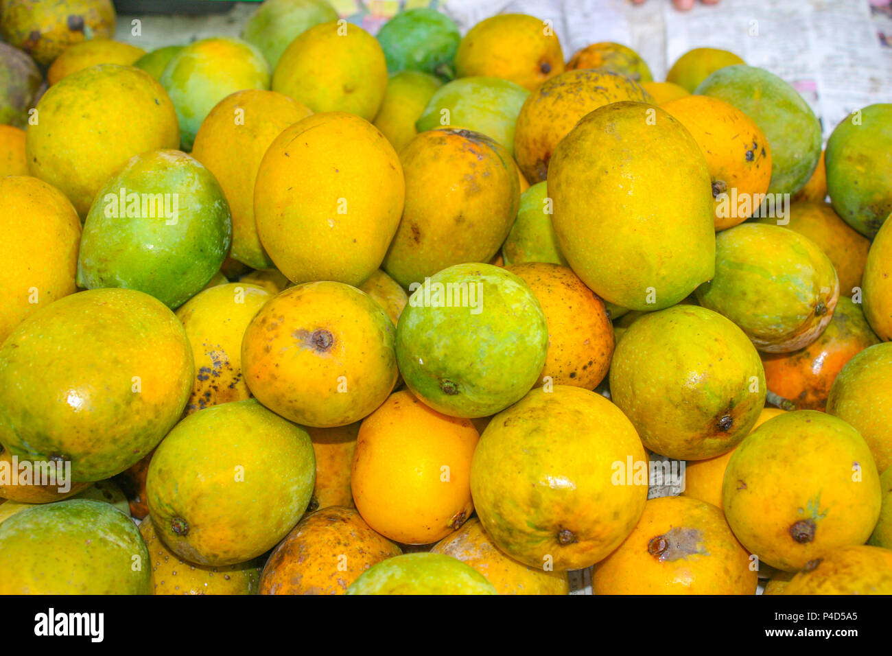 Ripe mango tree hi-res stock photography and images - Alamy
