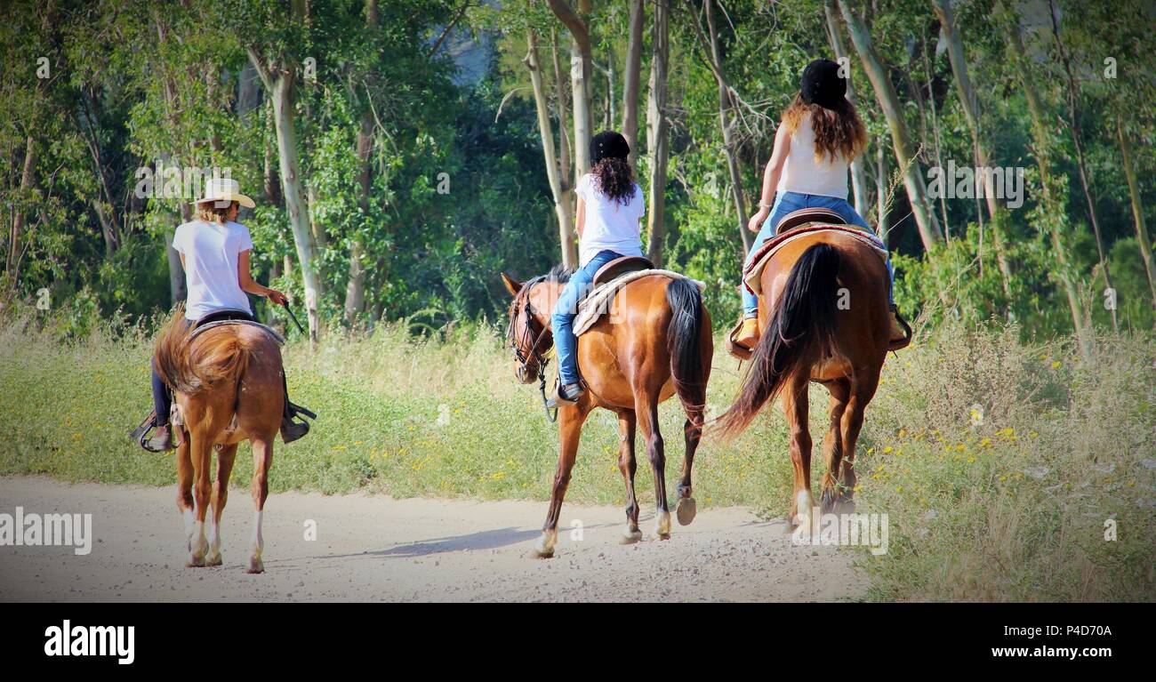 Three girls riding horses Stock Photo - Alamy