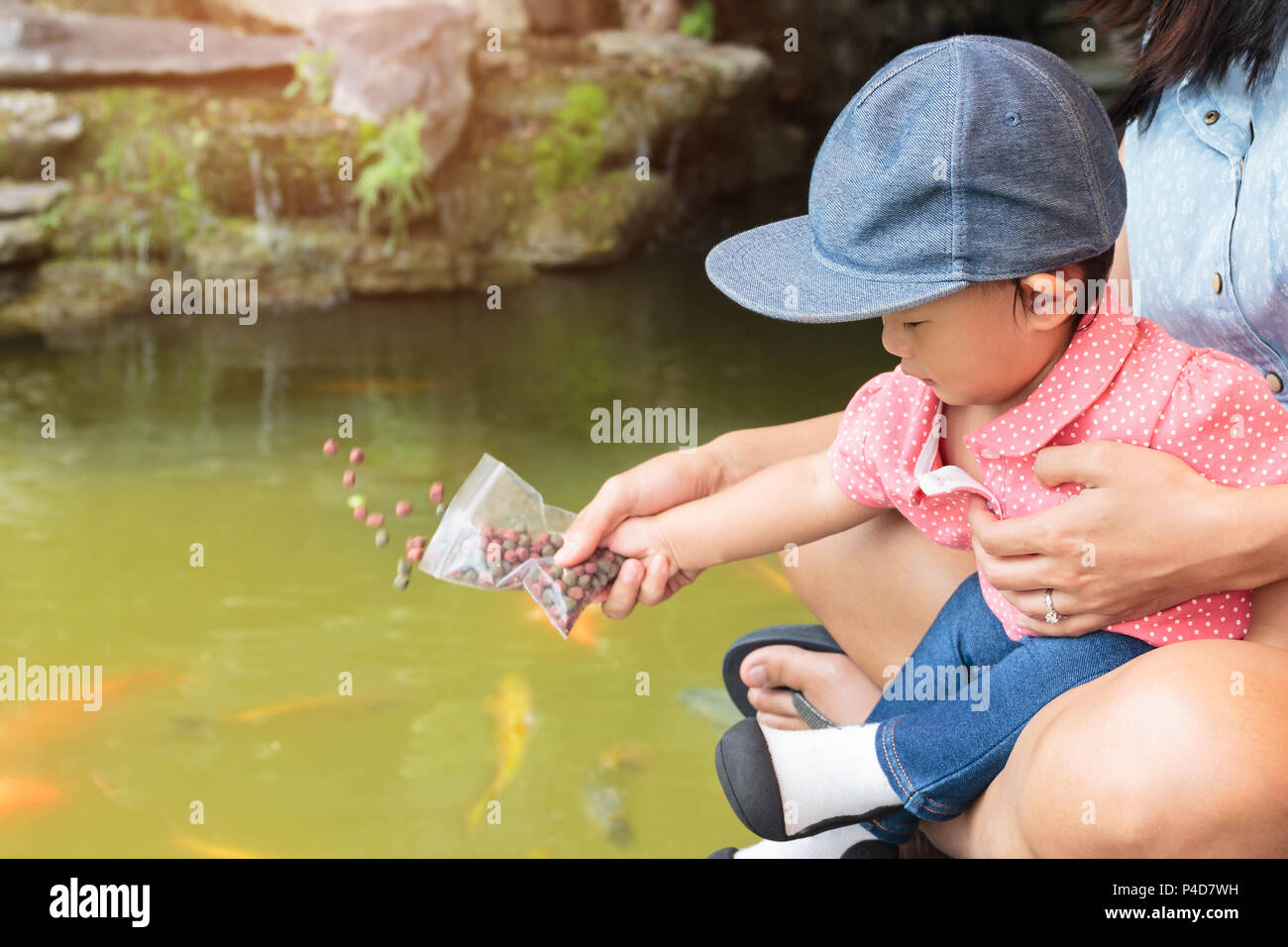 Child feeding fish in aquarium hi-res stock photography and images - Alamy
