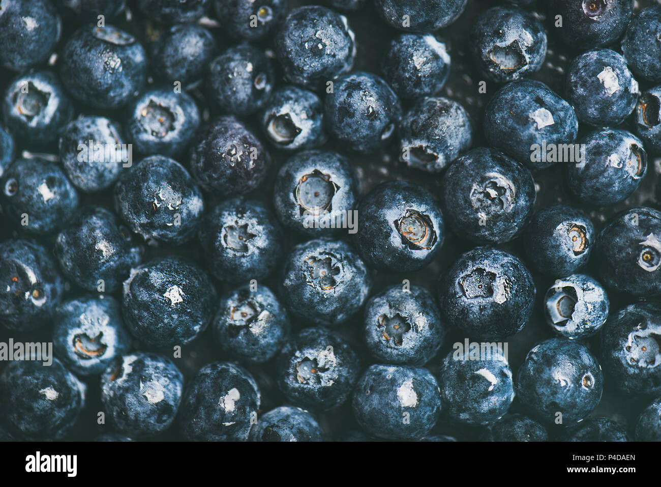 Fresh blueberry background. Texture blueberry berries top view Stock ...