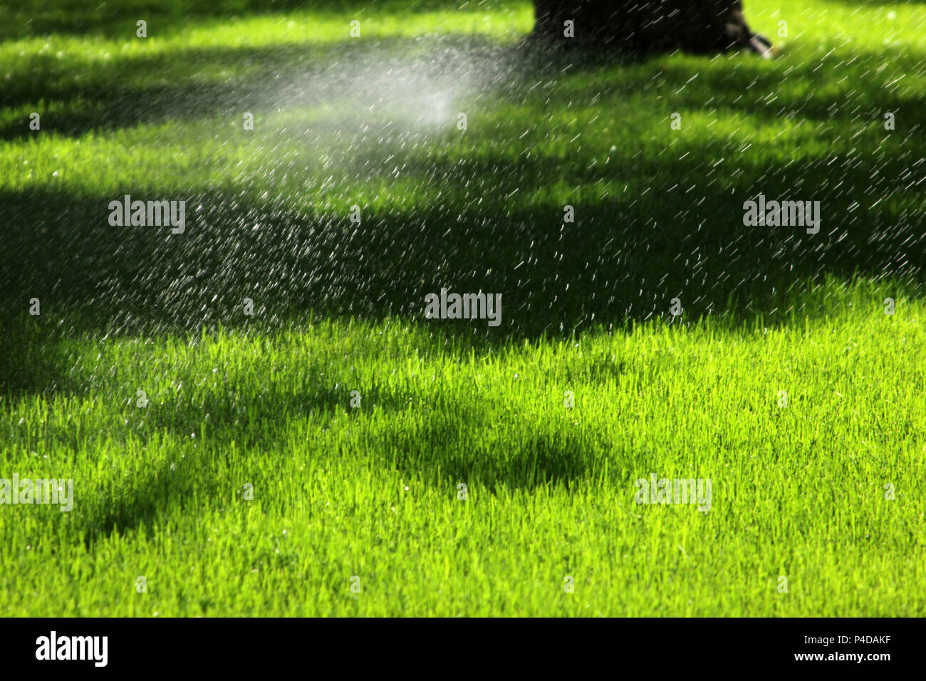 Sprinkler sod hi-res stock photography and images - Alamy