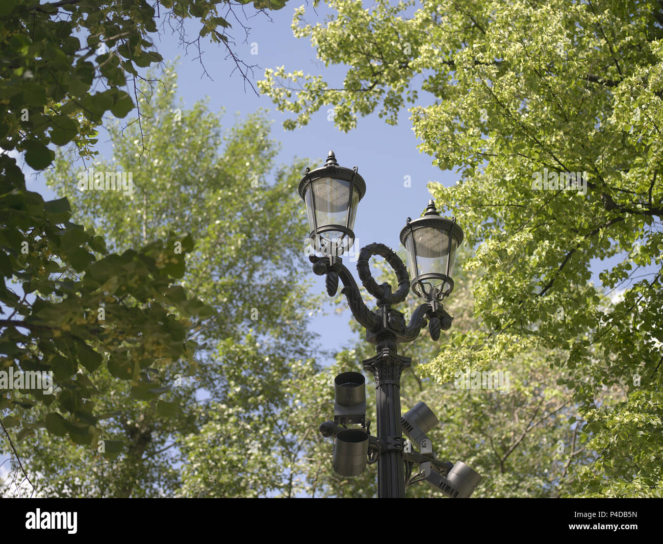 Lamp post in a park against the trees and blue sky Stock Photo - Alamy