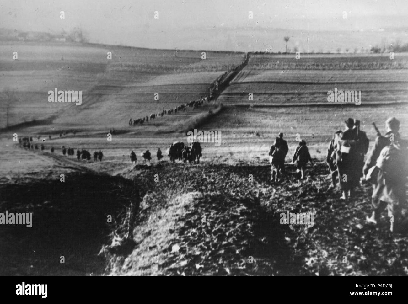 Novj hi-res stock photography and images - Alamy