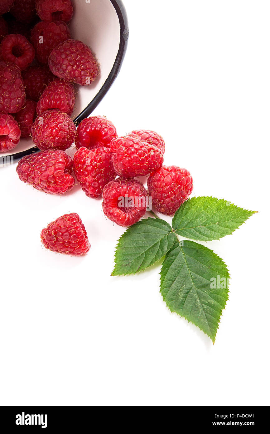 Close up view of white cup with fresh raspberries fruits and big green ...