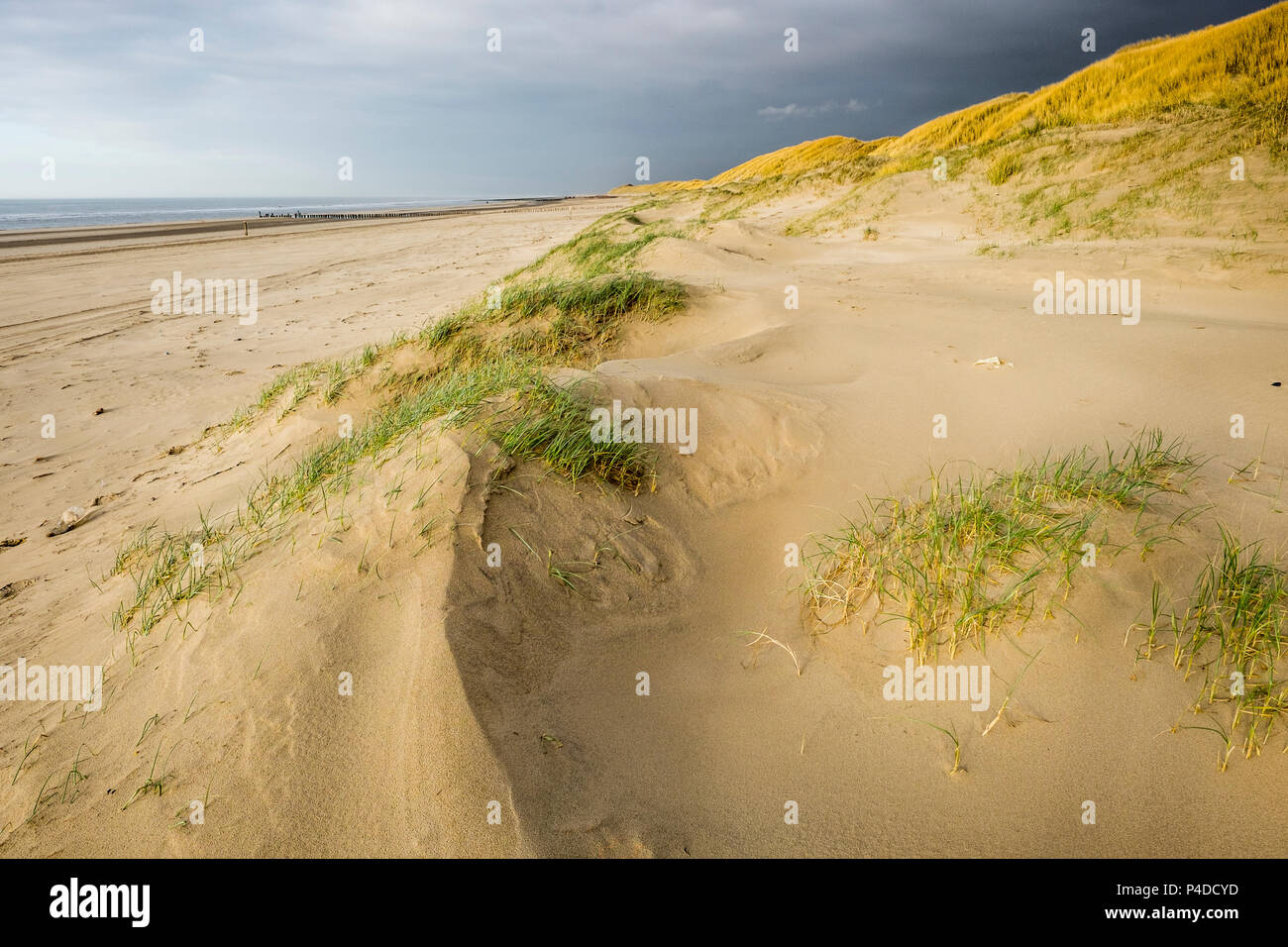 Bergen aan zee beach hi-res stock photography and images - Alamy