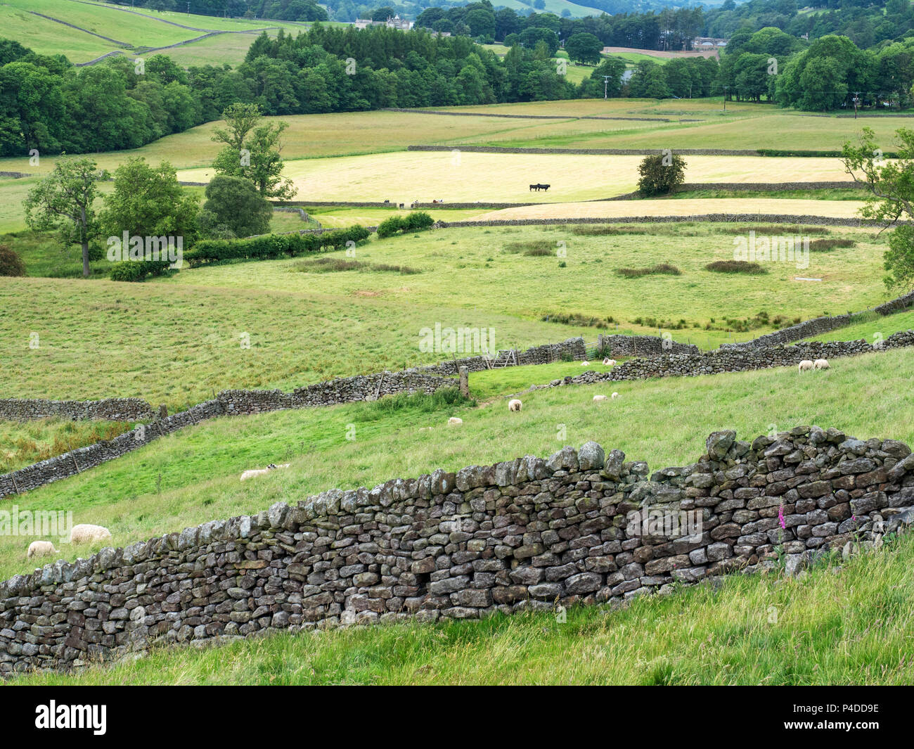 View over the Nidderdale AONB from Wath Road near Pateley Bridge North ...