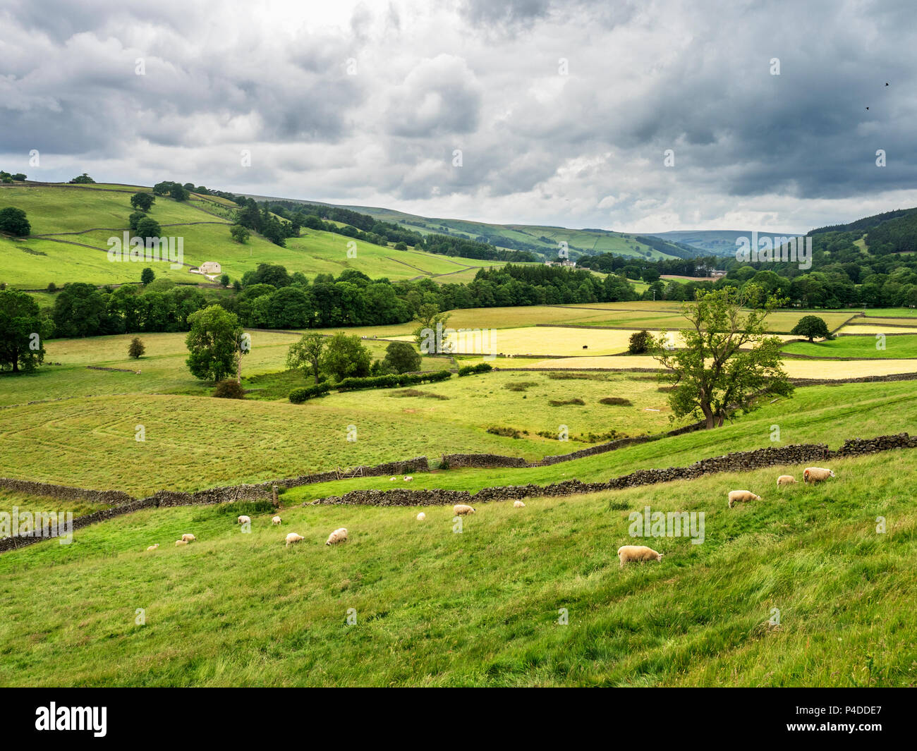 View over the Nidderdale AONB from Wath Road near Pateley Bridge North ...
