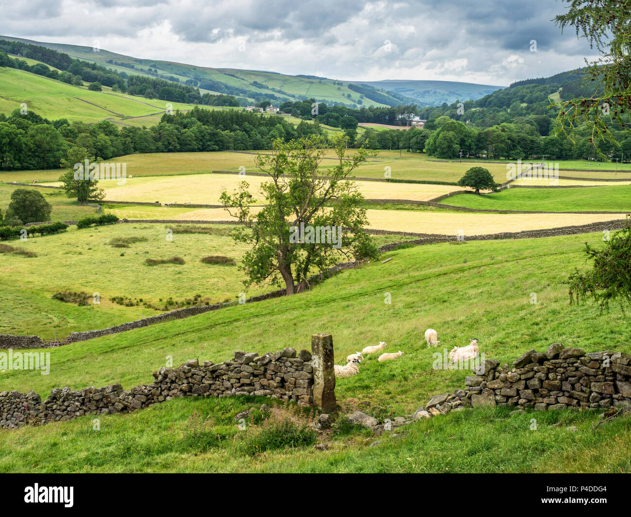View over the Nidderdale AONB from Wath Road near Pateley Bridge North ...