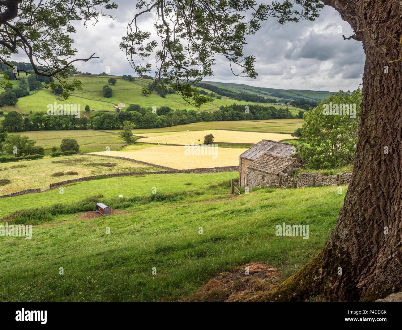 Nidd valley view hi-res stock photography and images - Alamy