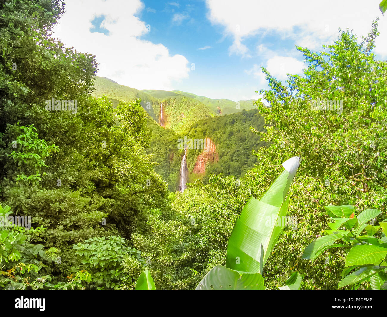 Guadeloupe, French Antilles. Carbet River tropical rainforest with ...