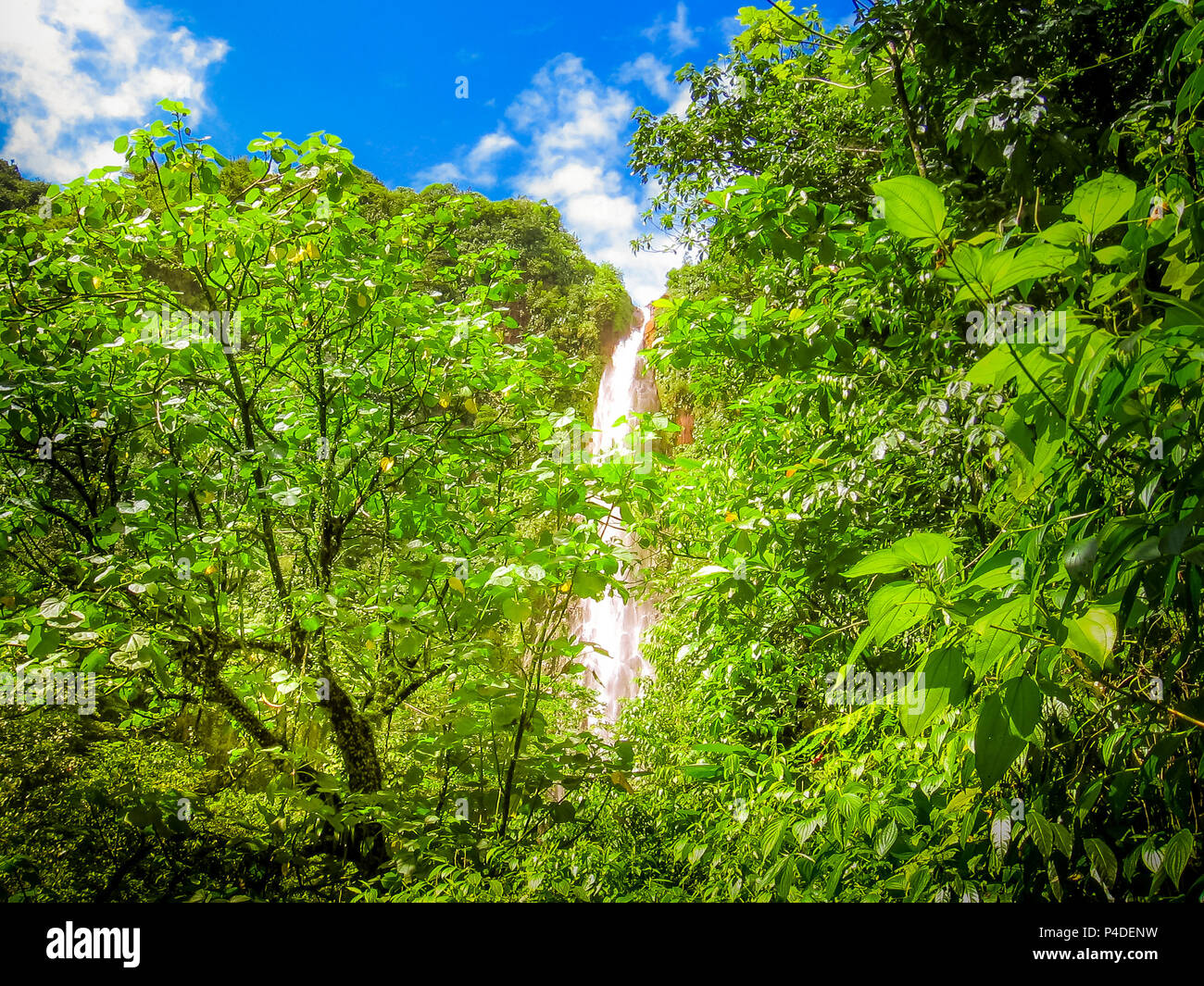 Carbet Falls or Les Chutes du Carbet in Basseterre,one of three ...